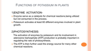 Role of potassium in field crops | PPTX
