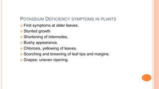 Role of potassium in field crops | PPTX