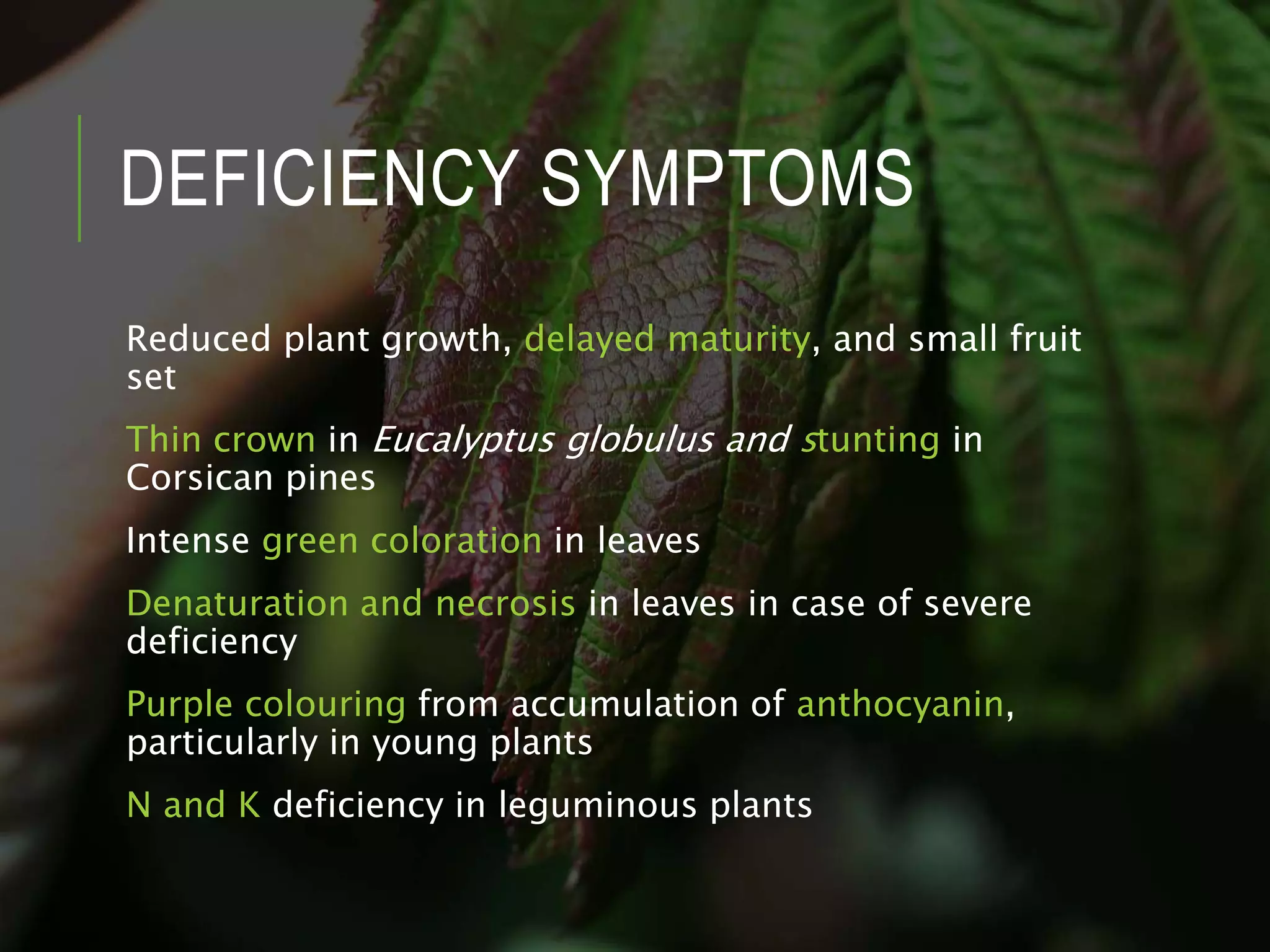 Role of primary nutrients in plants, their deficiency symptoms and ...