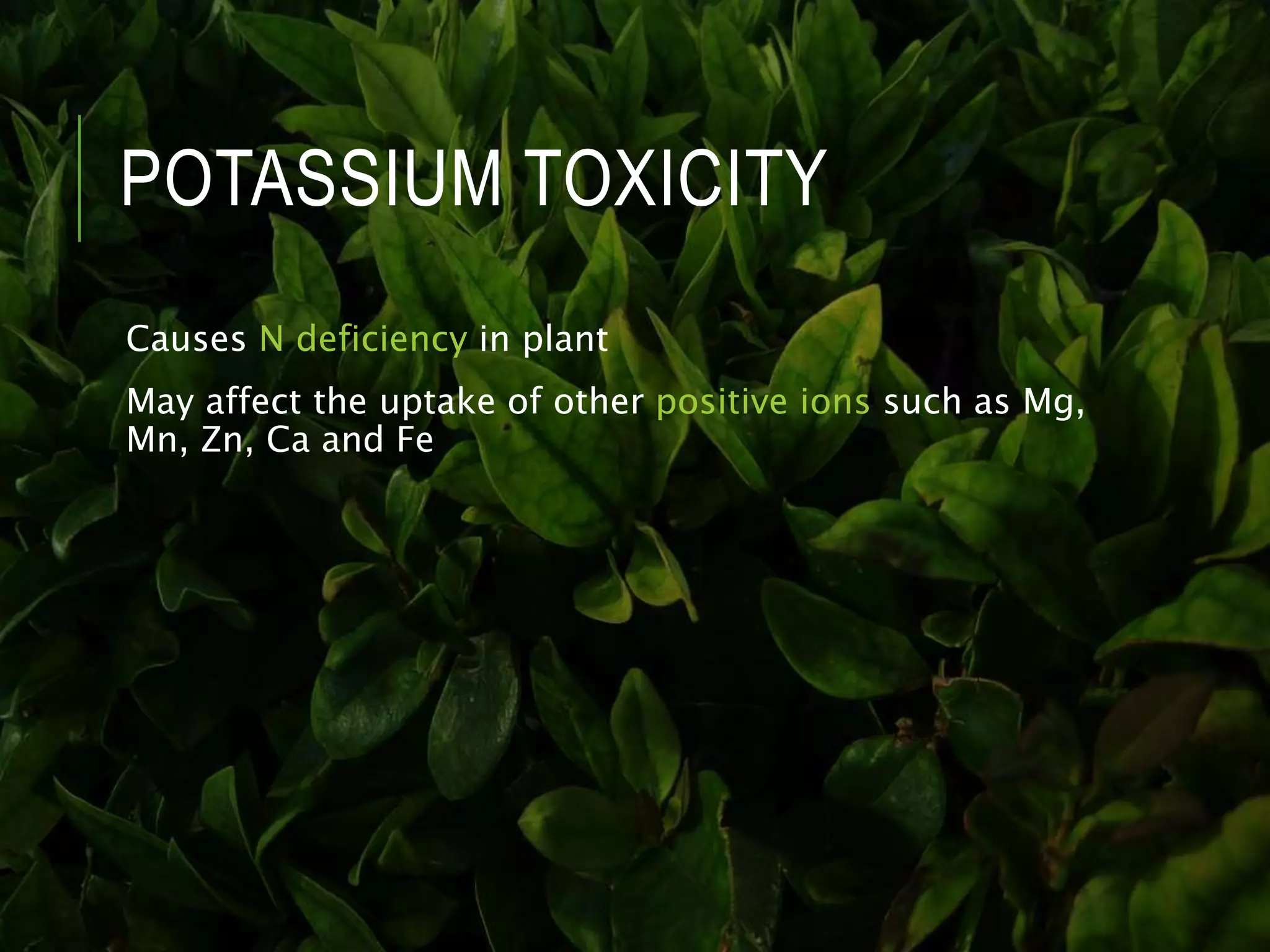 Role of primary nutrients in plants, their deficiency symptoms and ...
