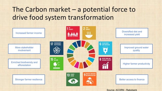 Role of Private Sector | PPTX | Agriculture | Industries