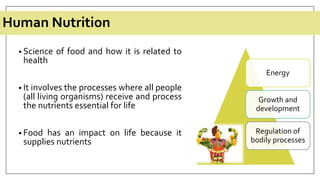 Role of processed food in human nutrition | PPT