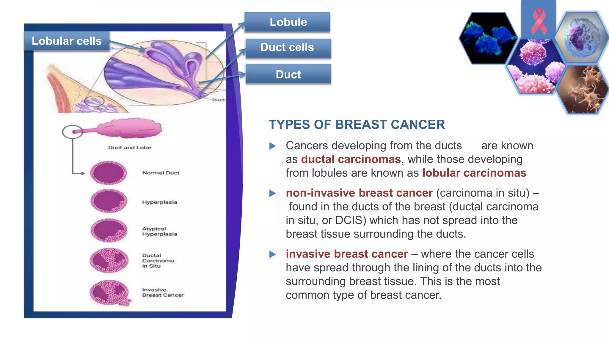 Role of progesterone receptor in bc | PPTX