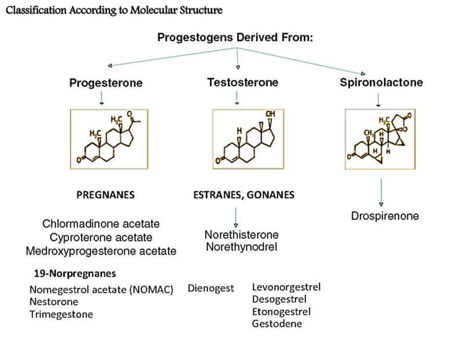 Role of progestogens in obstetrics and gynecology | PPT