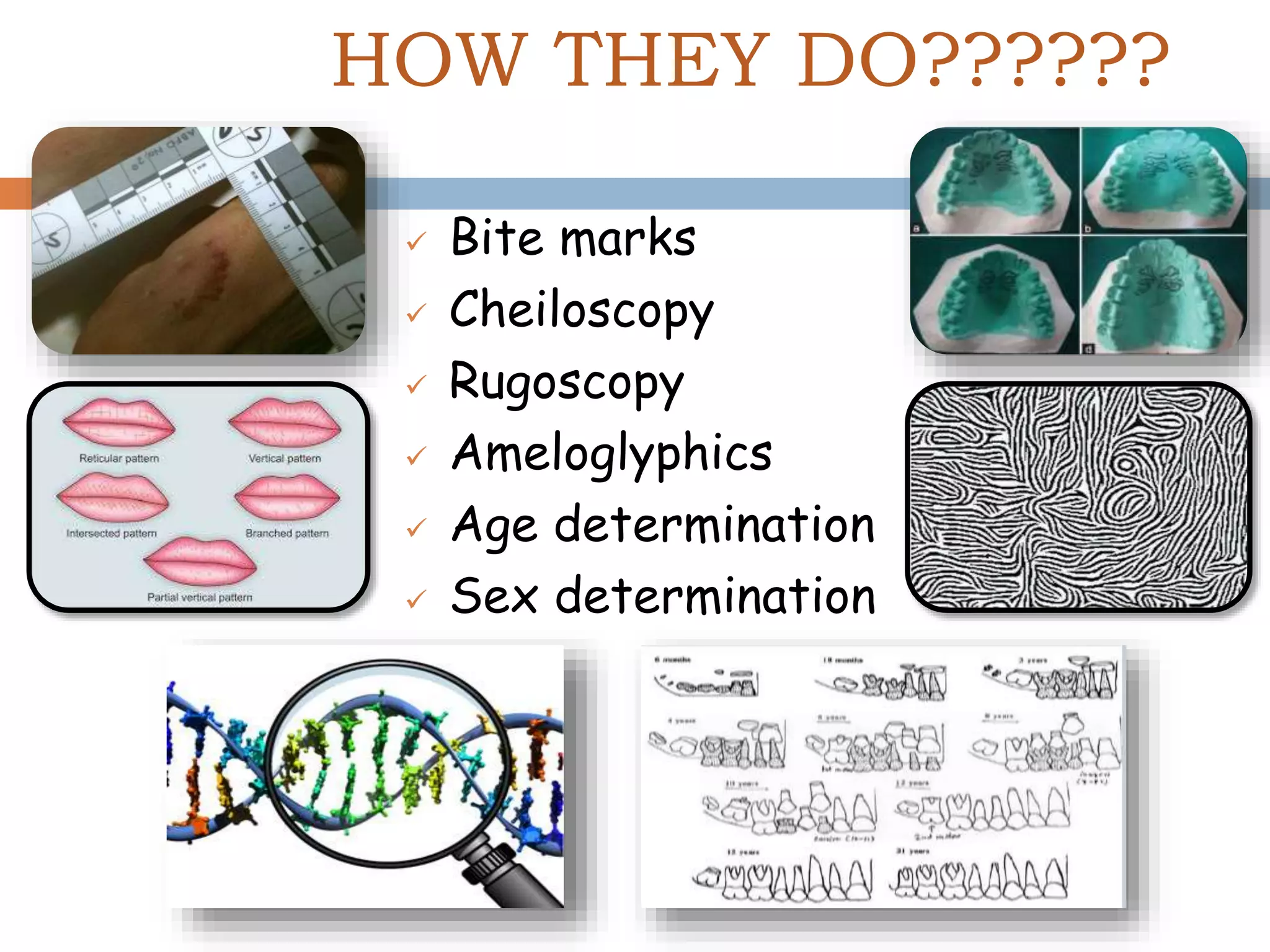 Role of prosthodontics in forensic dentistry | PPTX