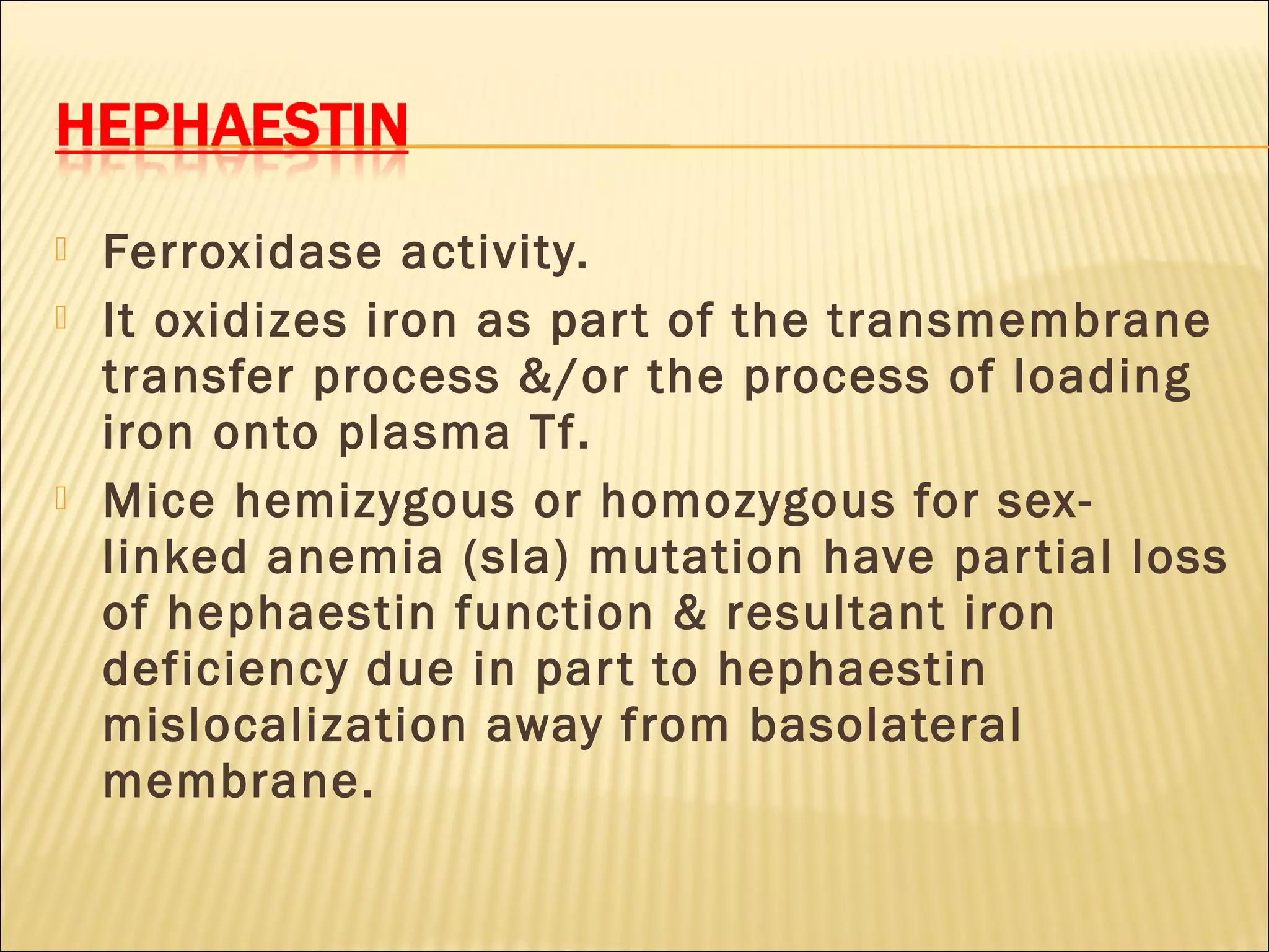 Role of protein in iron metabolism | PPT