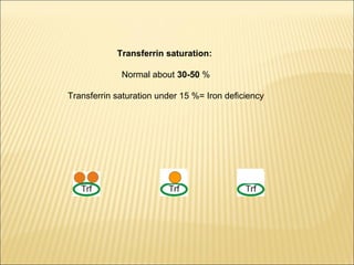 Role of protein in iron metabolism | PPT