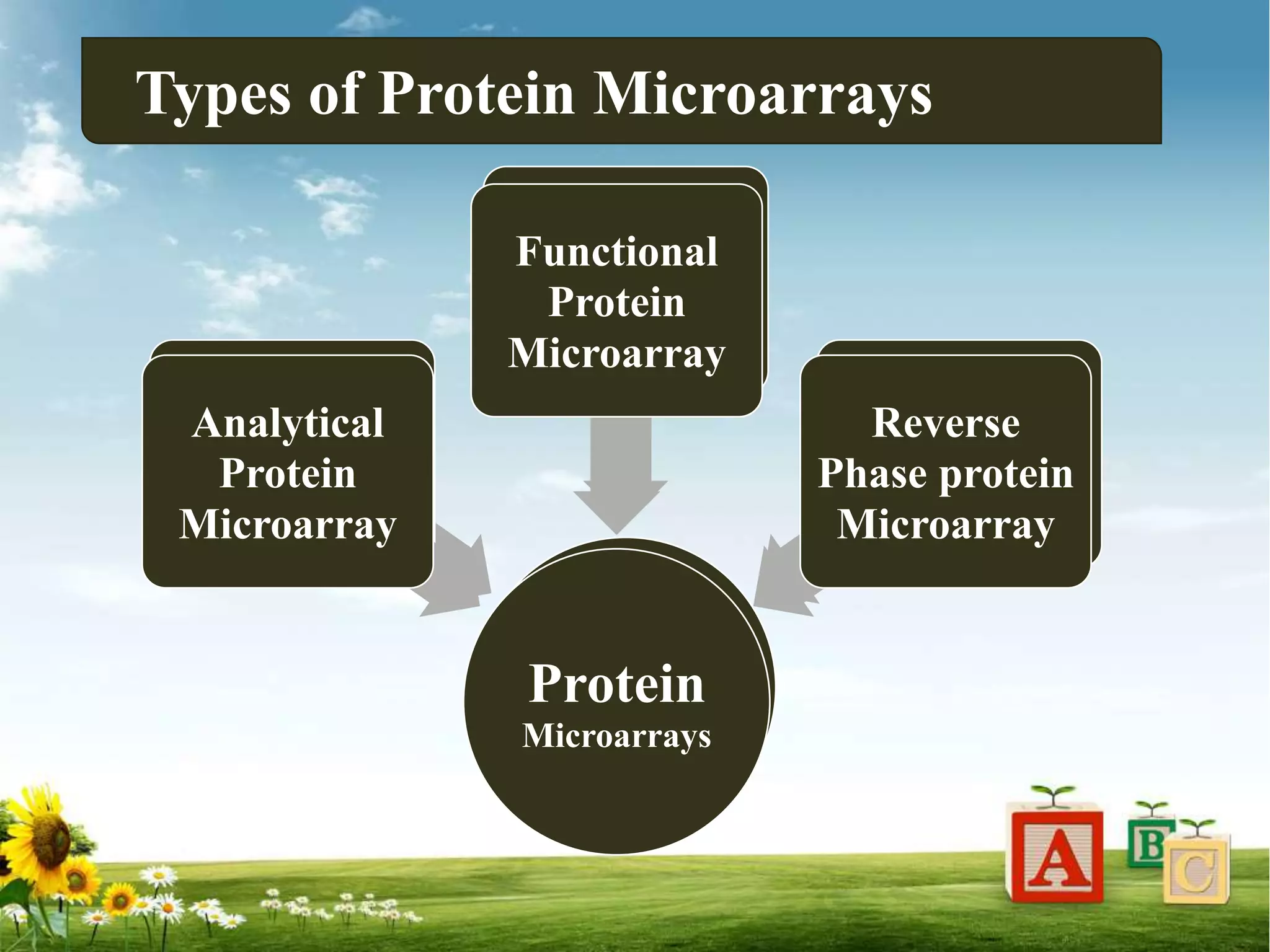 protein microarray | PPTX