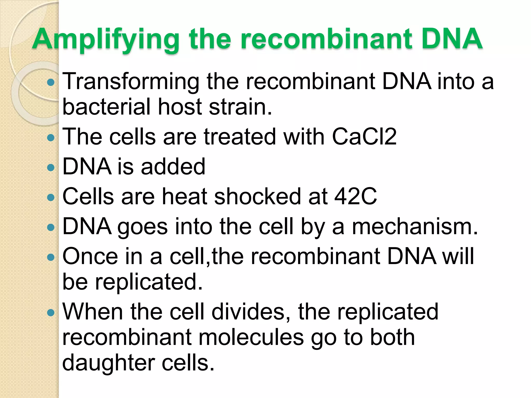 Role of r dna technology | PPT