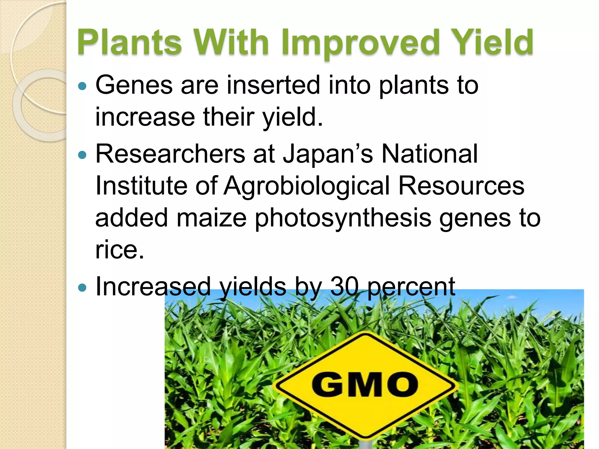 Role of r dna technology | PPT