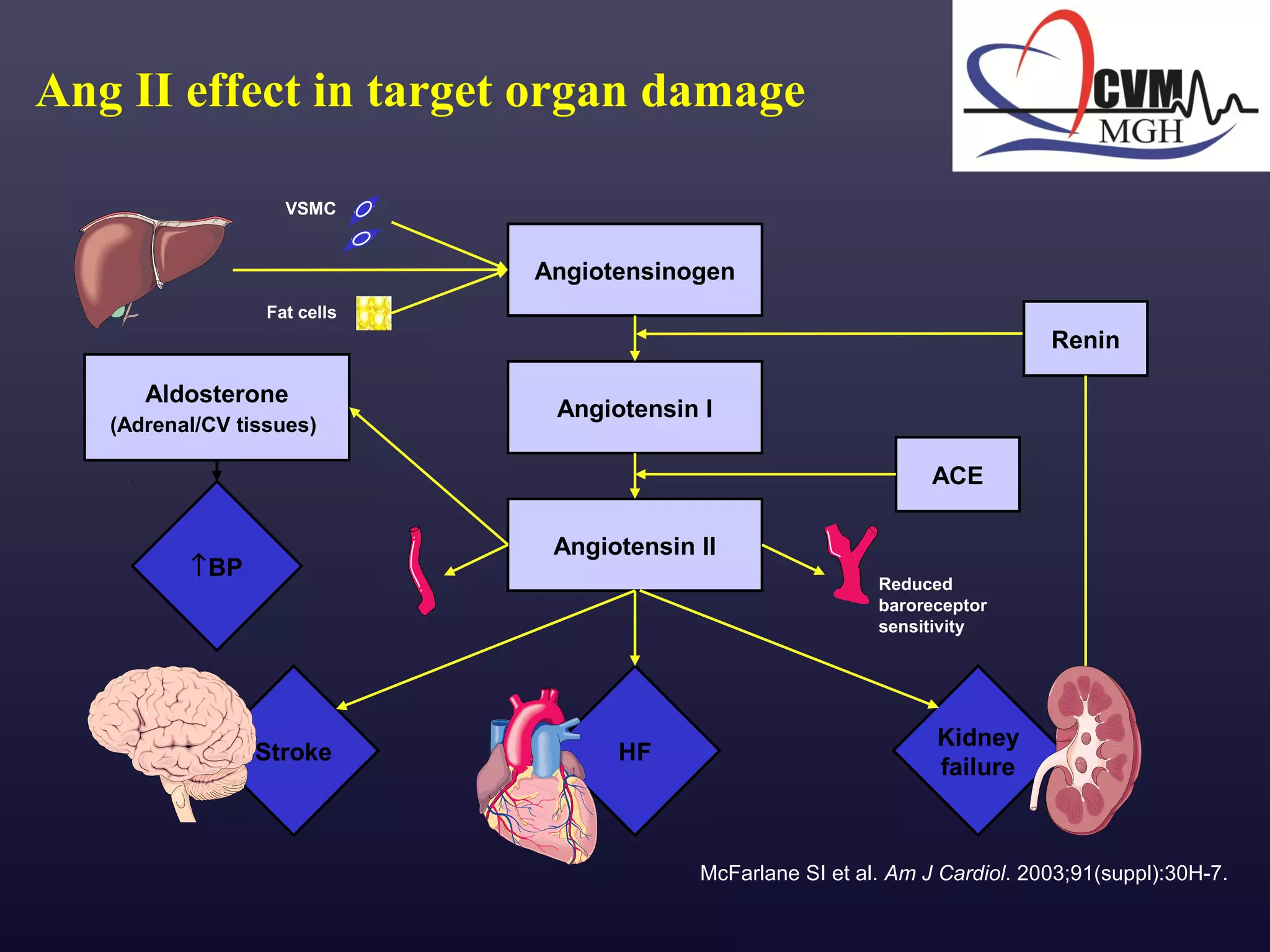 Role of raas inhibition in management of hypertension | PPT