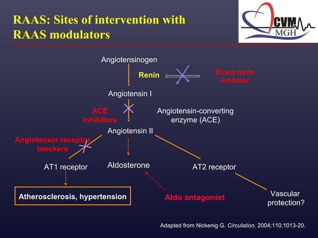 Role of raas inhibition in management of hypertension | PPT