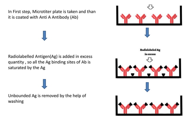 Role of radioactivity in viral assay | PPT