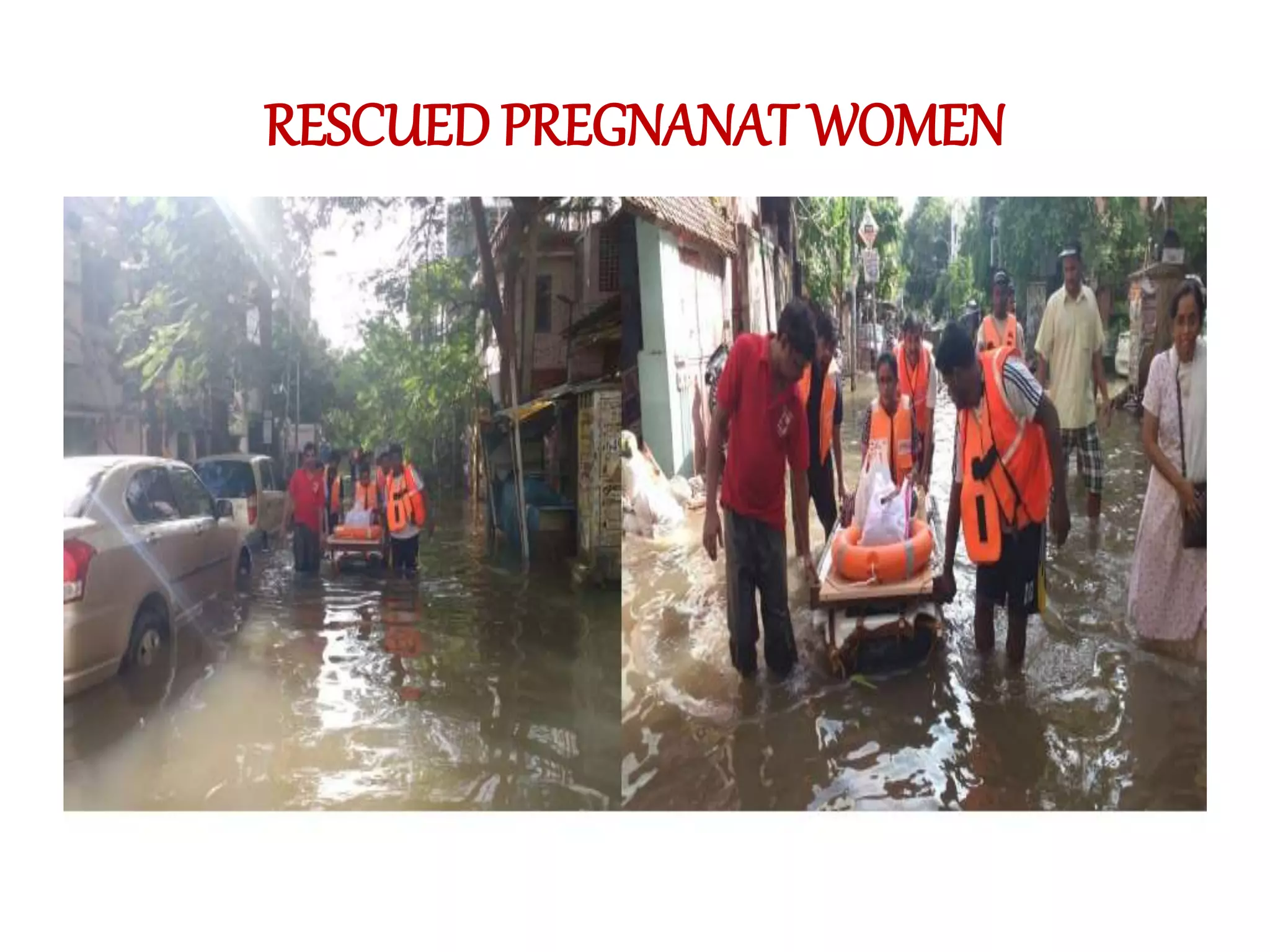 Role of red cross in disaster management | PPTX