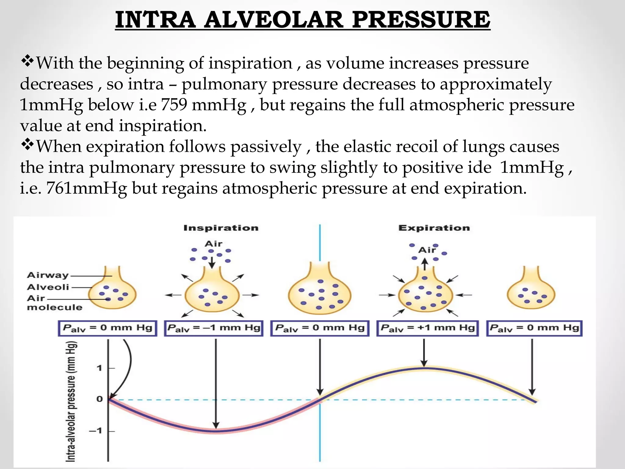 Role of respiratory muscles and various pressures in pulmonary ...