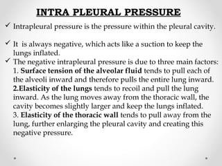Role of respiratory muscles and various pressures in pulmonary ...