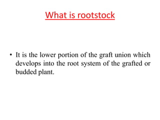 role of rootstock range of different.pptx