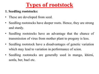 role of rootstock range of different.pptx