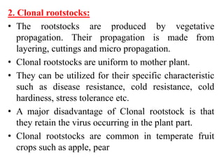 role of rootstock range of different.pptx