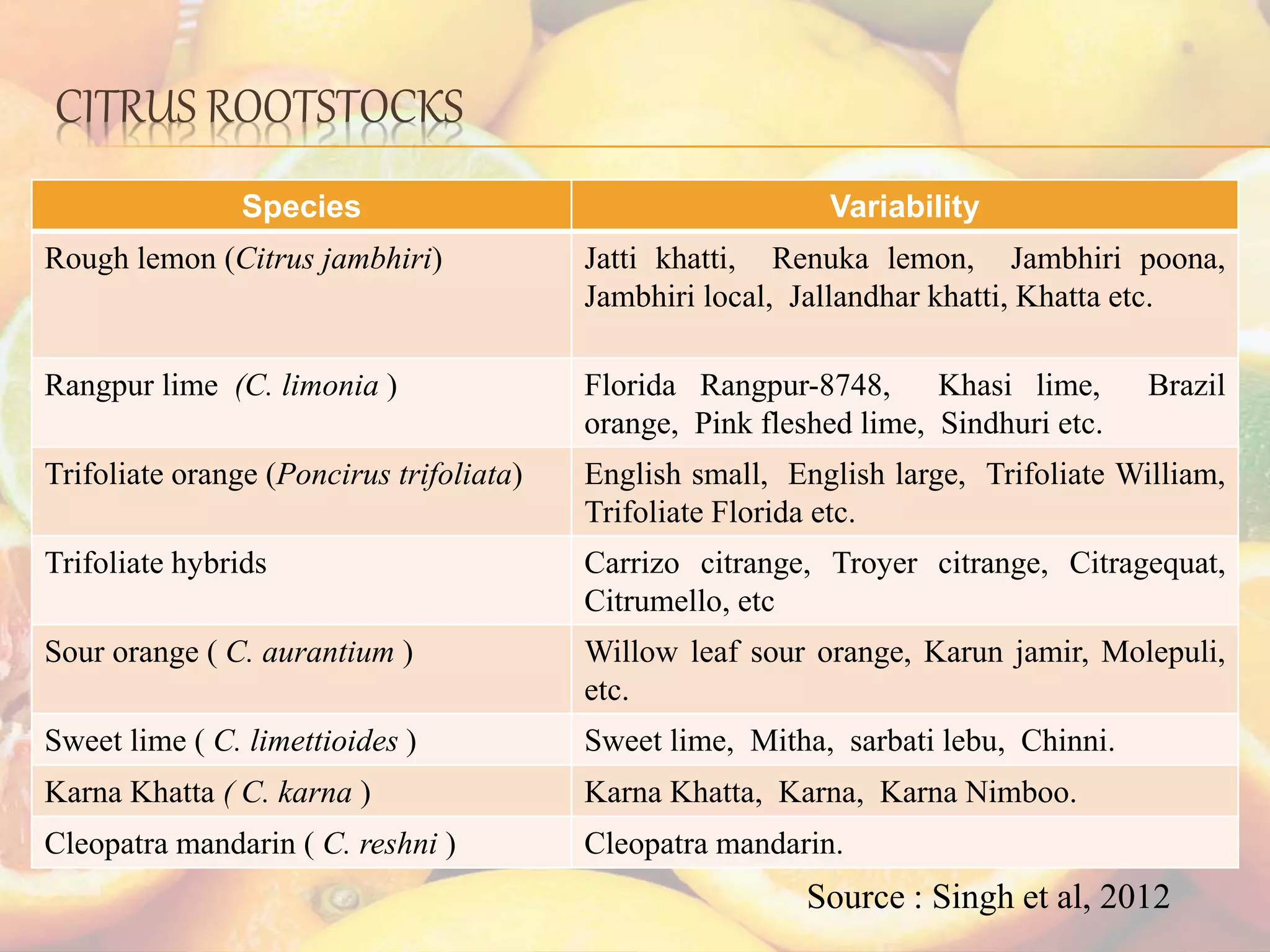 Role of rootstocks in horticultural crops | PPTX