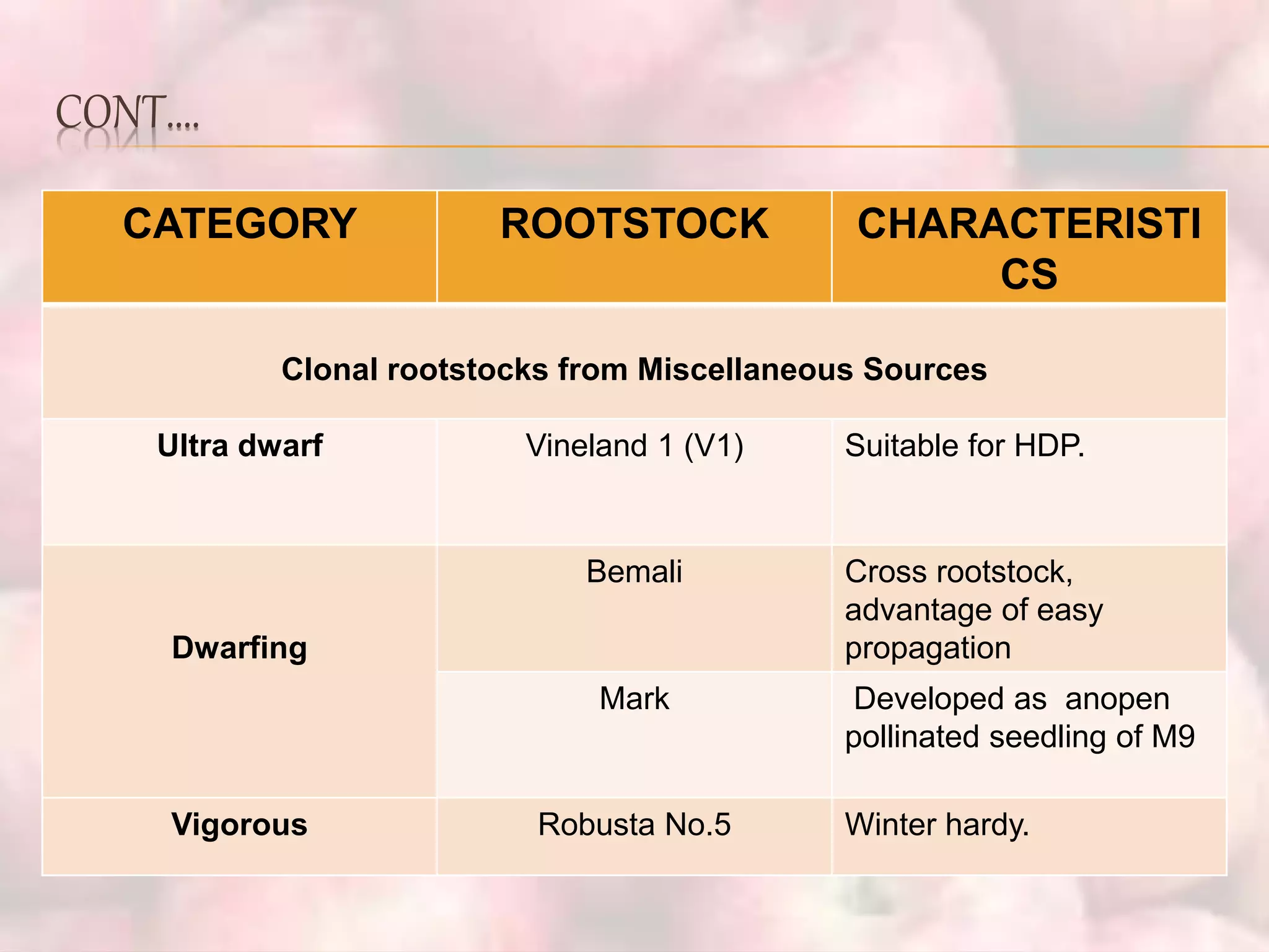 Role of rootstocks in horticultural crops | PPTX