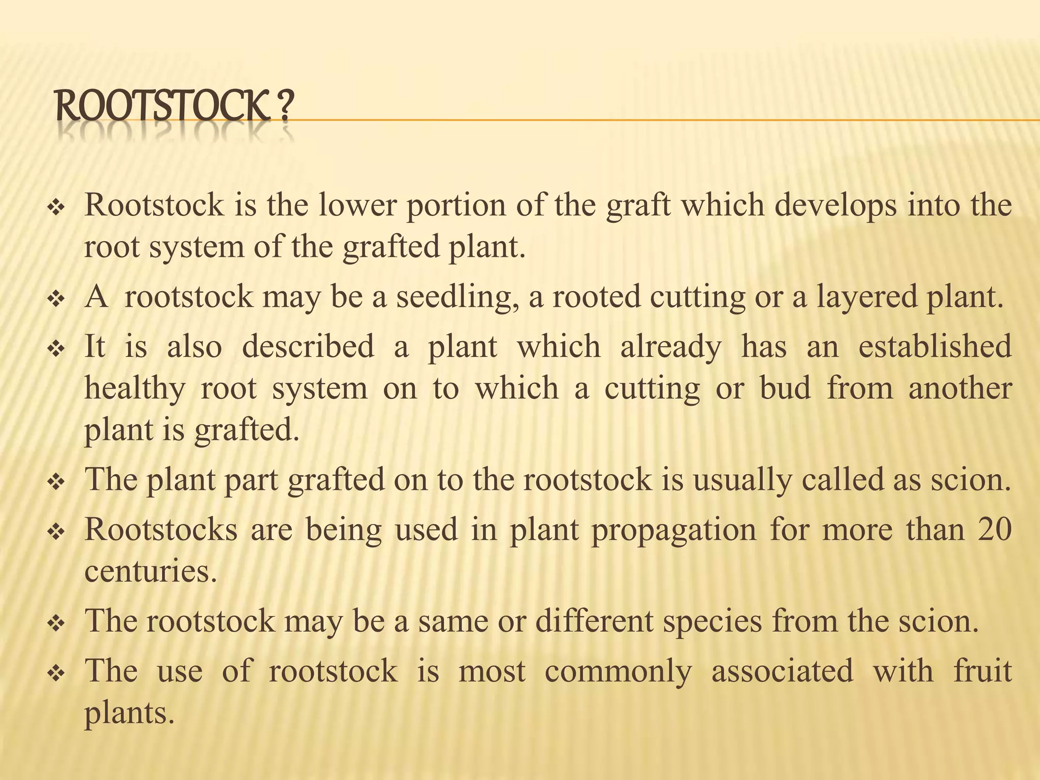 Role of rootstocks in horticultural crops | PPTX