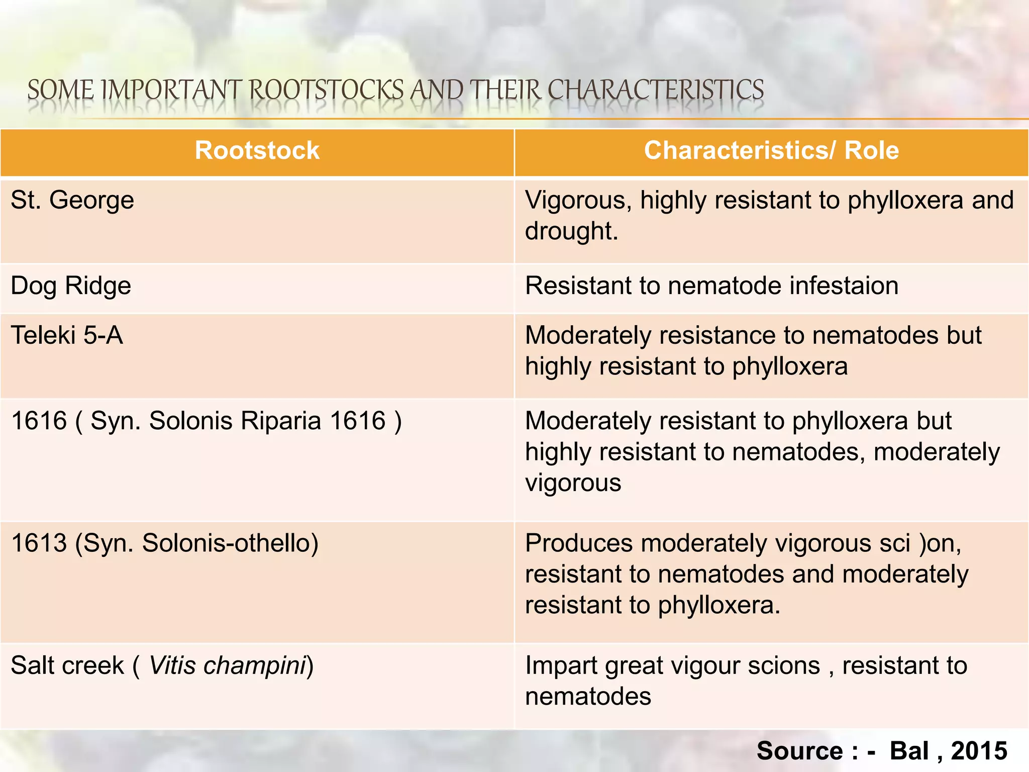 Role of rootstocks in horticultural crops | PPTX