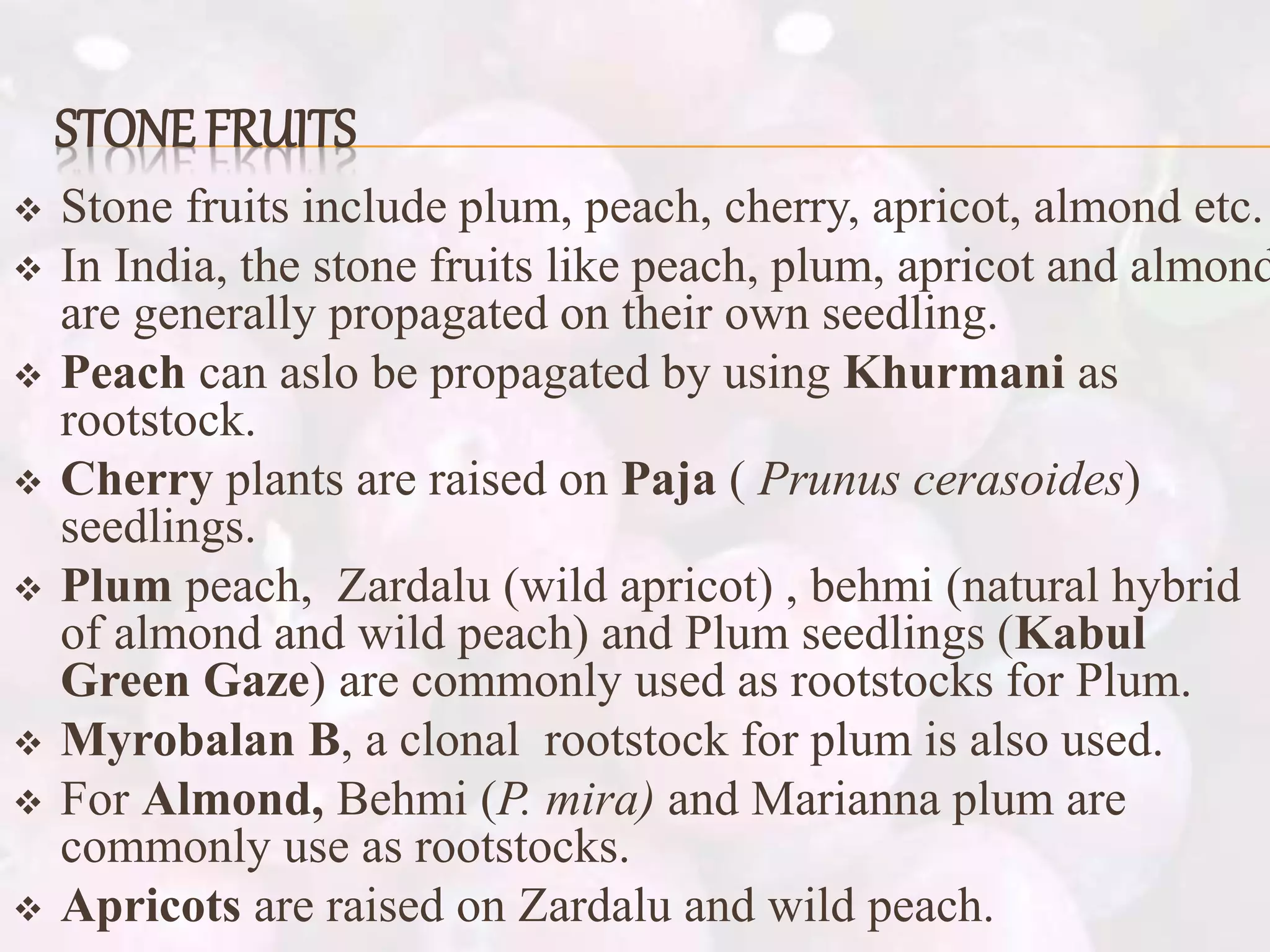 Role of rootstocks in horticultural crops | PPTX