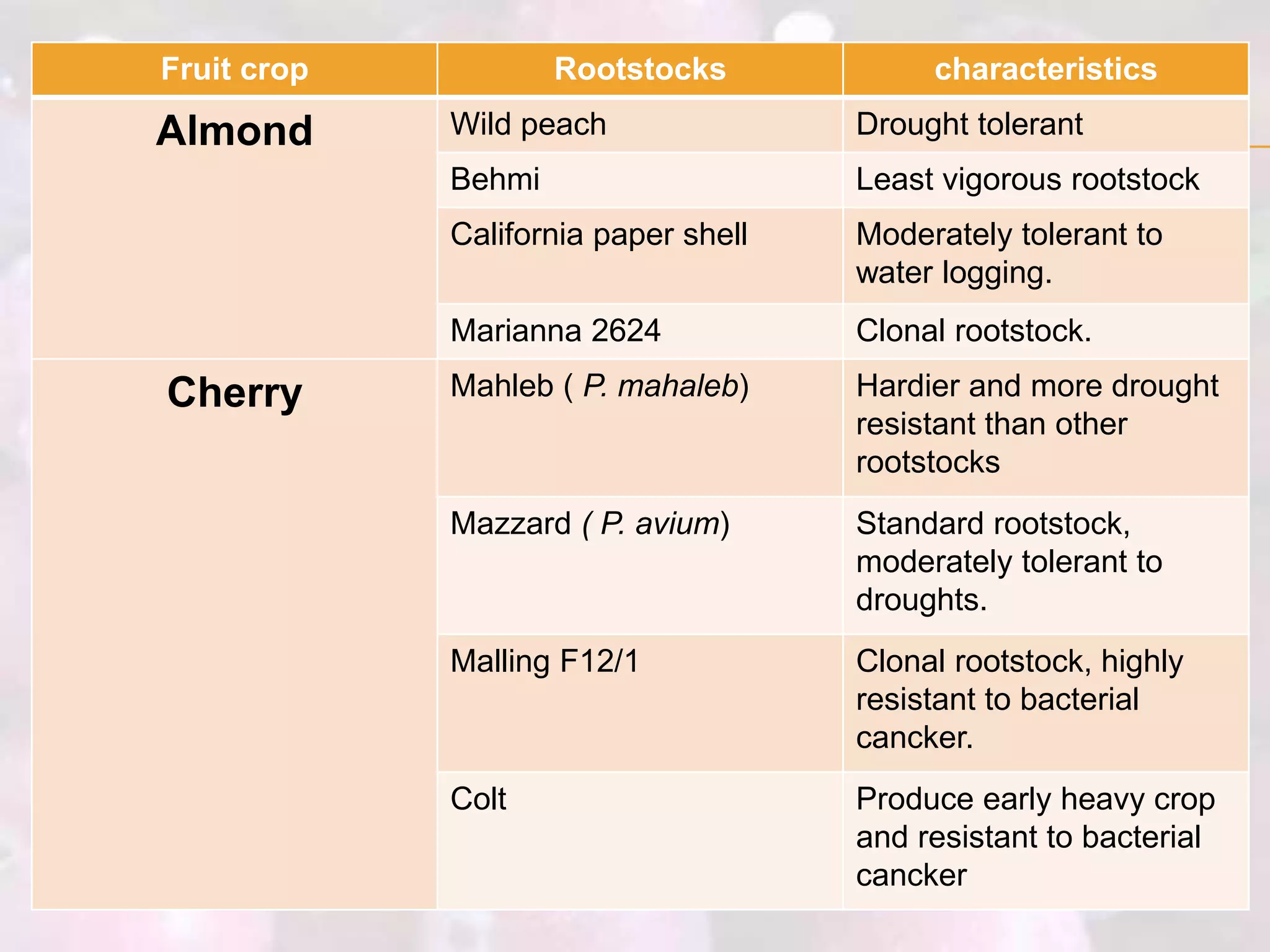 Role of rootstocks in horticultural crops | PPTX