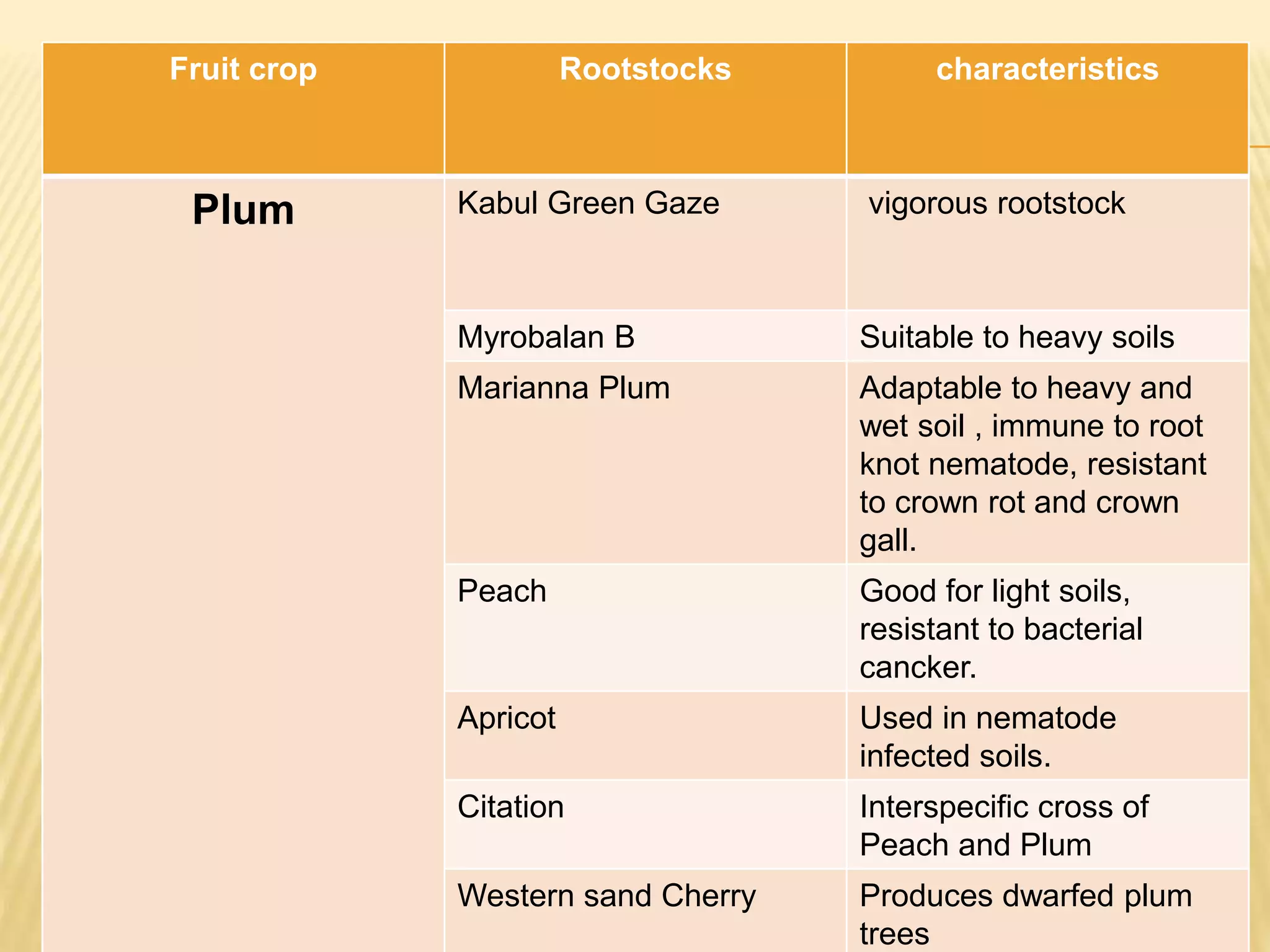 Role of rootstocks in horticultural crops | PPTX