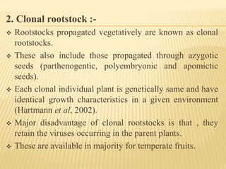 Role of rootstocks in horticultural crops | PPTX