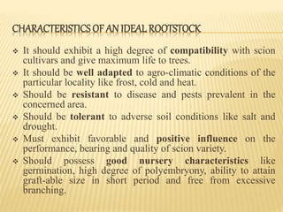 Role of rootstocks in horticultural crops | PPTX