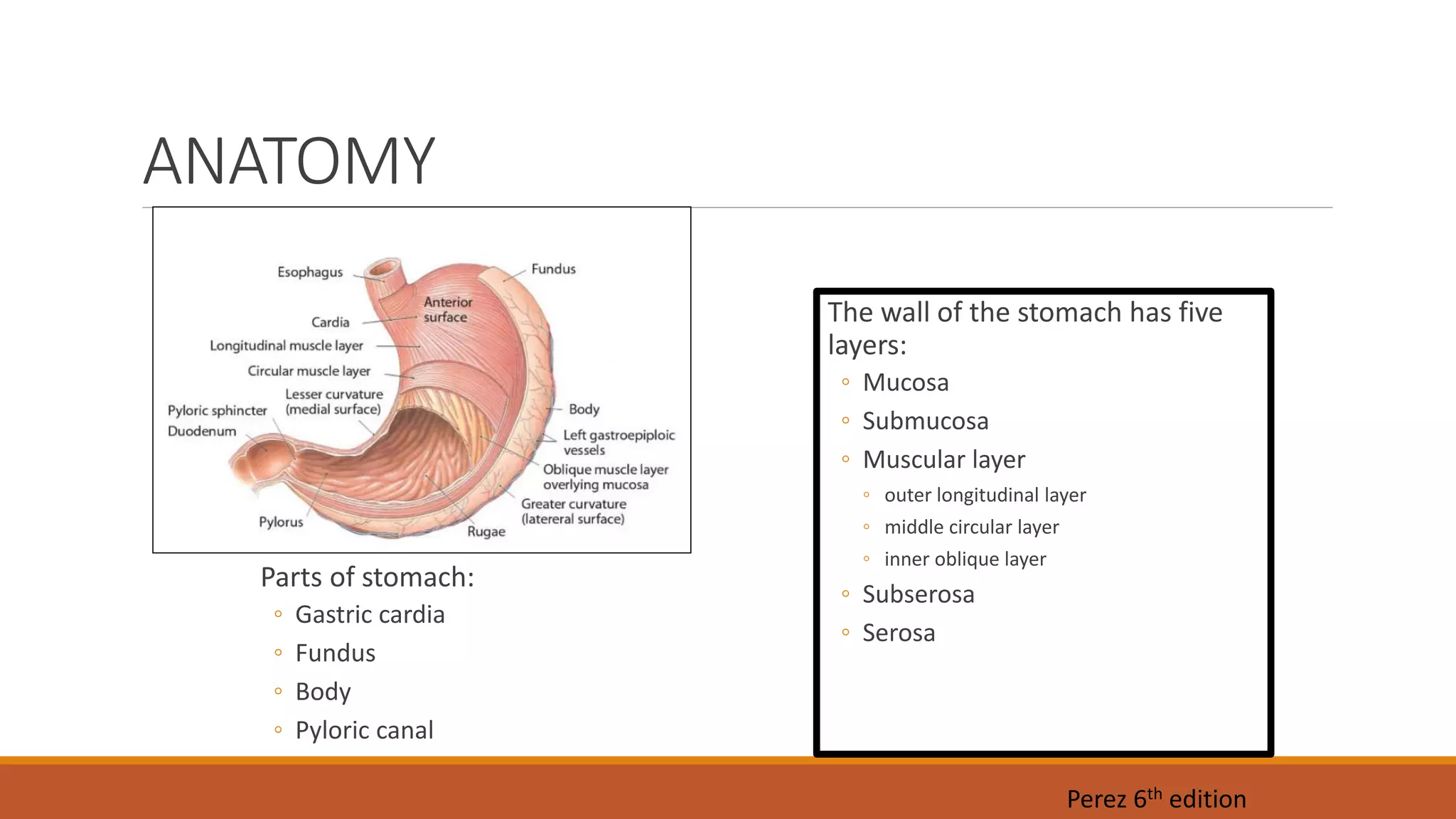 Role of Radiation Therapy in gastric cancer | PPTX