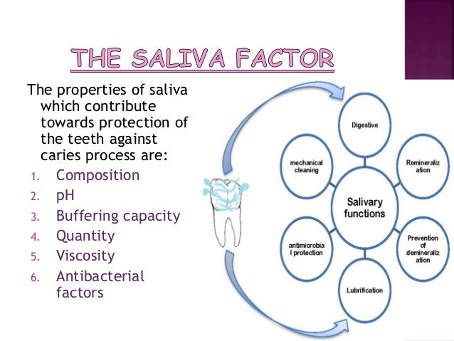 Role of saliva ektha
