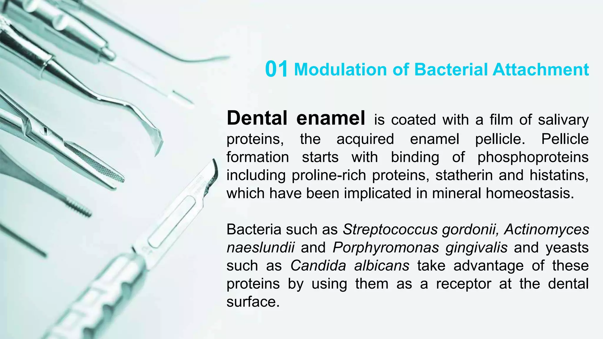 Role of saliva in defence mechanism | PPTX