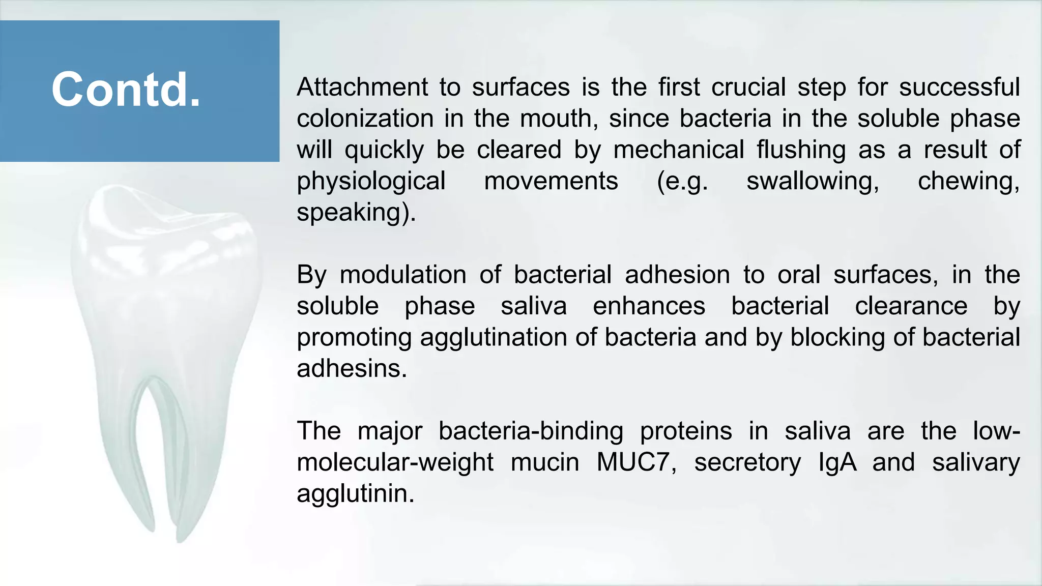 Role of saliva in defence mechanism | PPTX