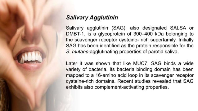 Role of saliva in defence mechanism | PPTX | Oral care | Personal Care