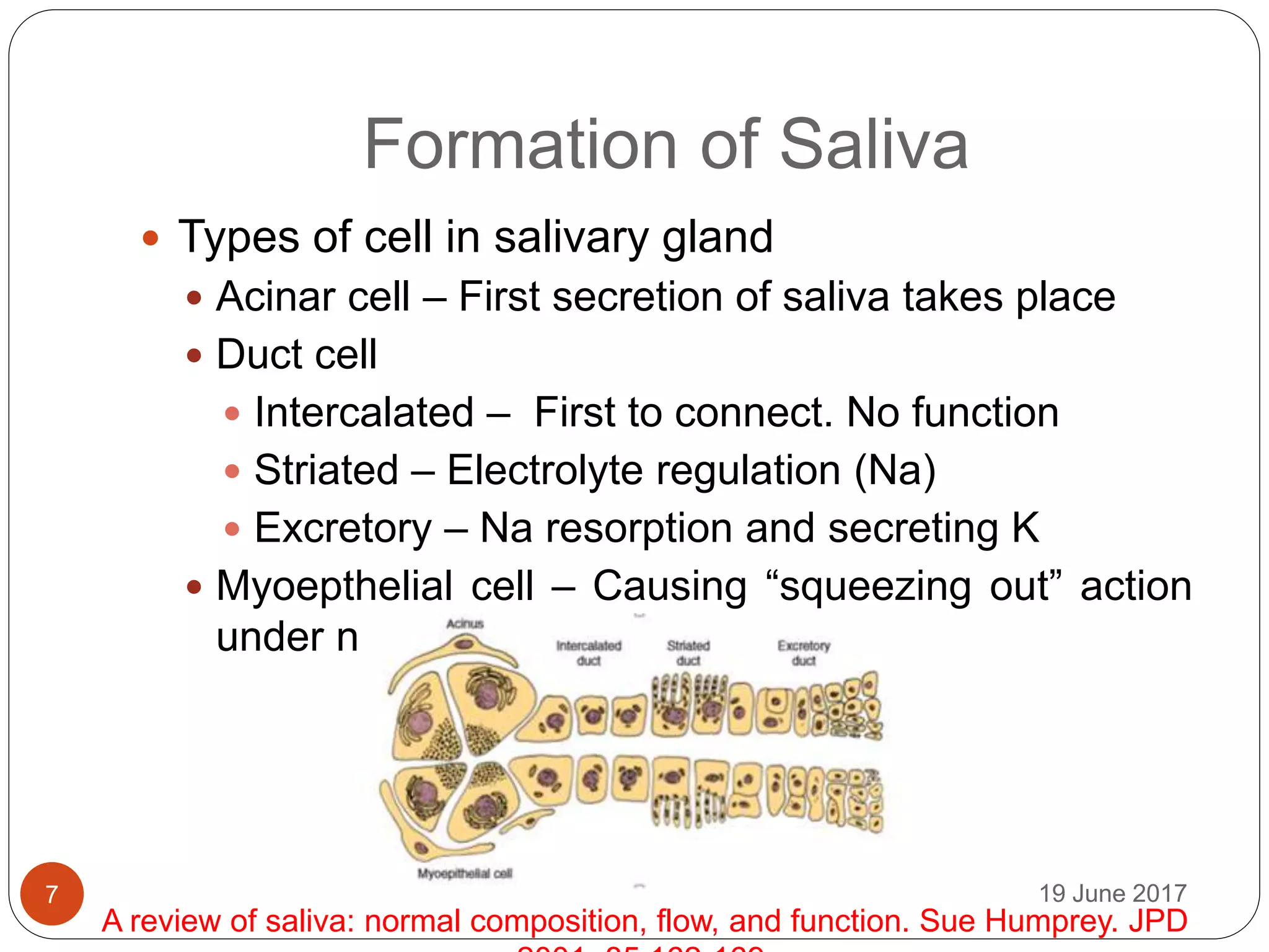 Role of Saliva.pptx