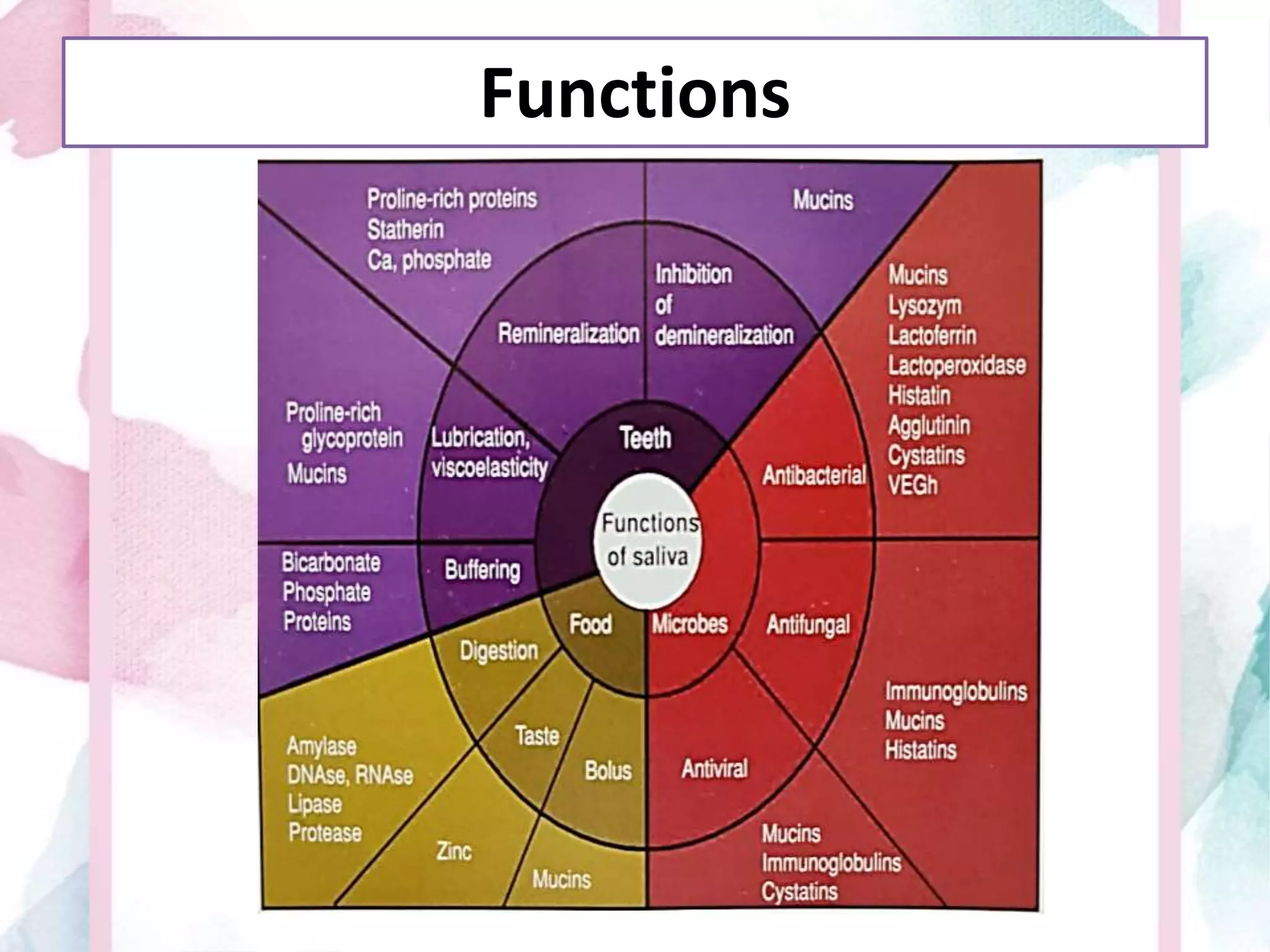 Role of saliva, ph, diet in caries.. | PPTX