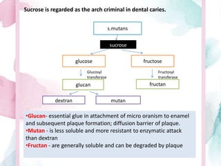 Role of saliva, ph, diet in caries.. | PPTX