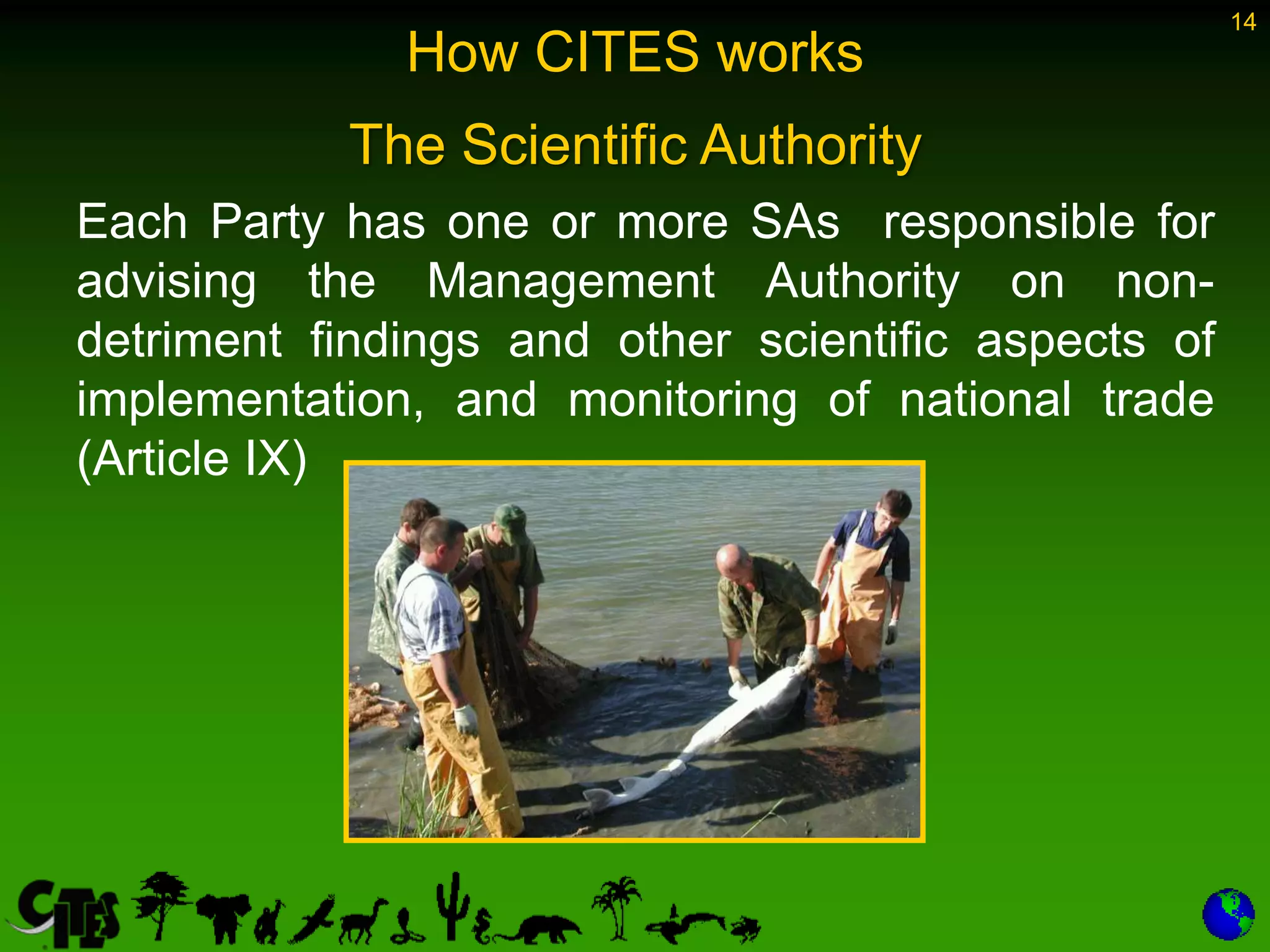 Role of the Scientific Authority | PPTX