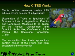 Role of the Scientific Authority | PPT