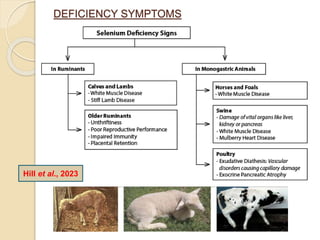 Role Of Selenium And Iodine In Animal Production.pptx