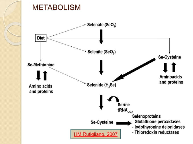 Role Of Selenium And Iodine In Animal Production.pptx | Thyroid ...