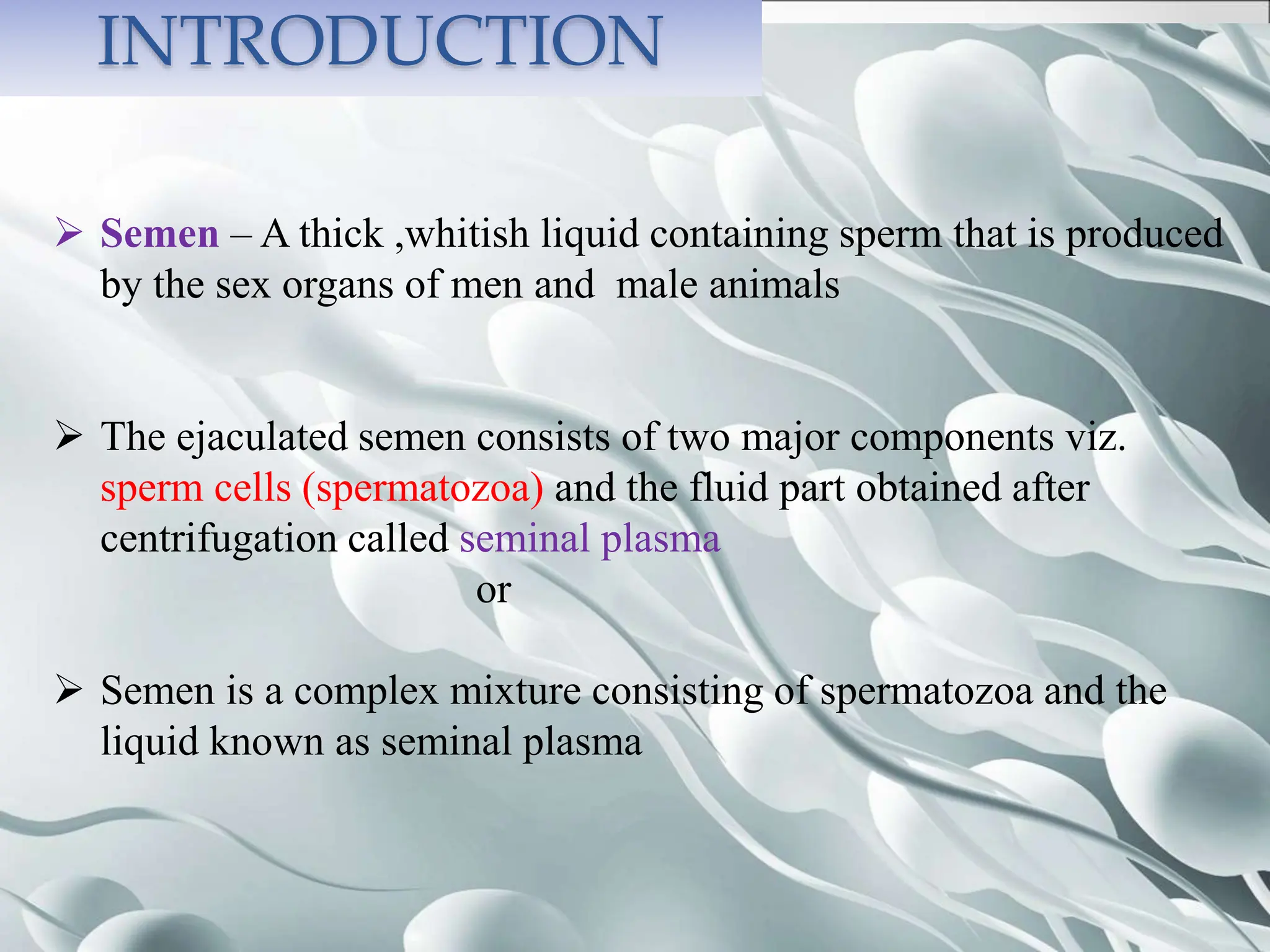 Role of Seminal plasma proteins in semen by J S Rajoriya.ppt