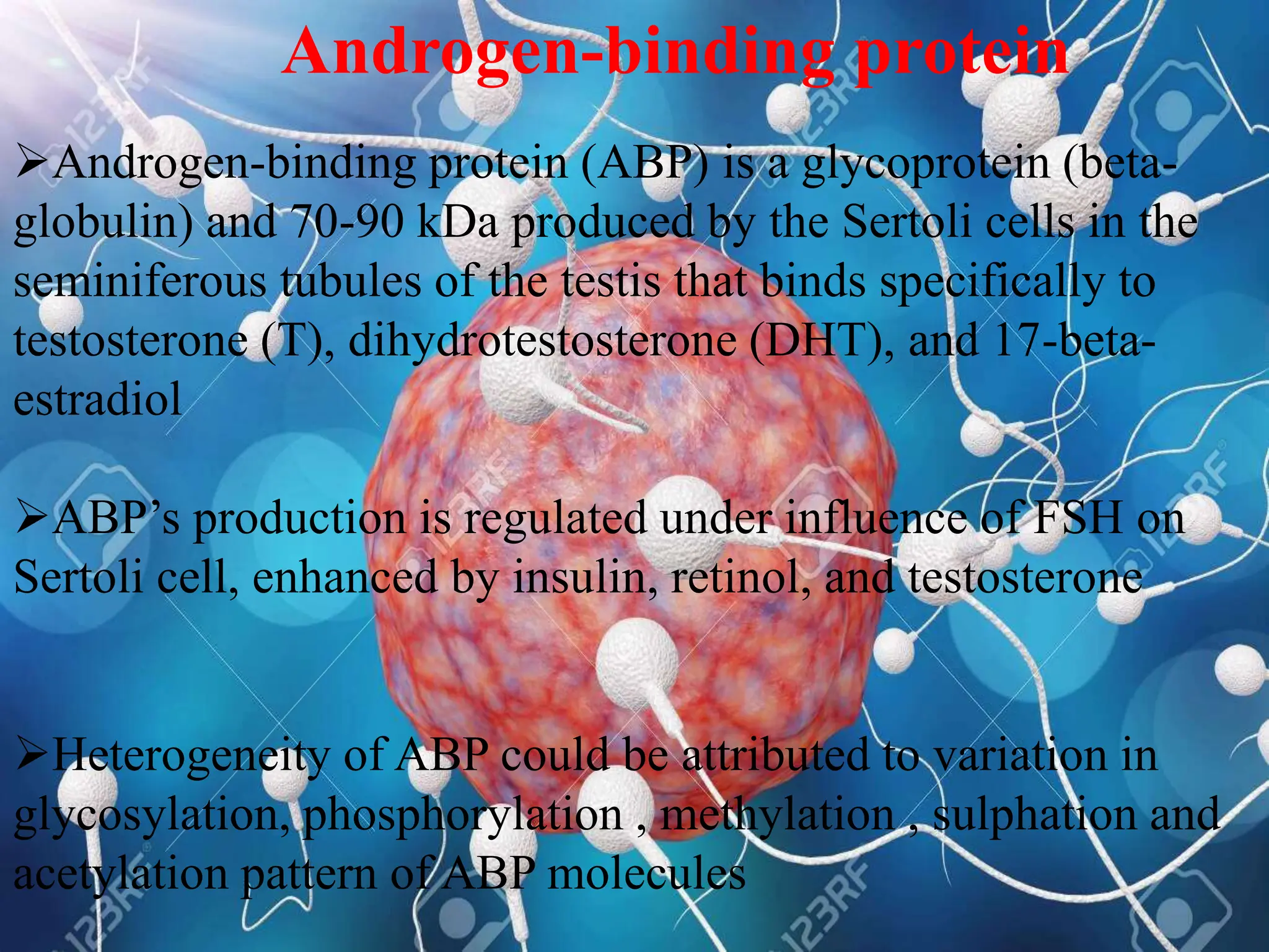 Role of Seminal plasma proteins in semen by J S Rajoriya.ppt