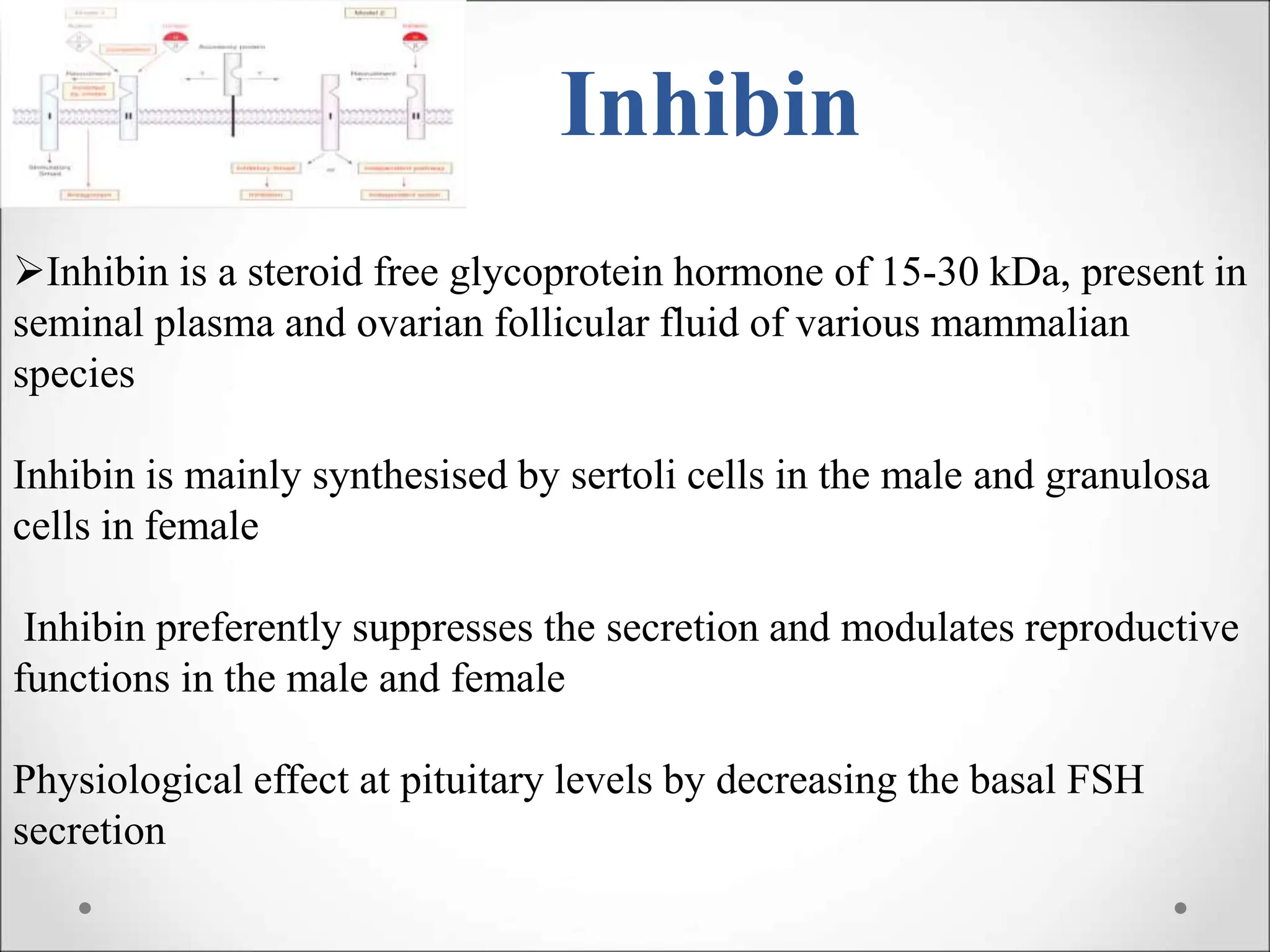 Role of Seminal plasma proteins in semen by J S Rajoriya.ppt