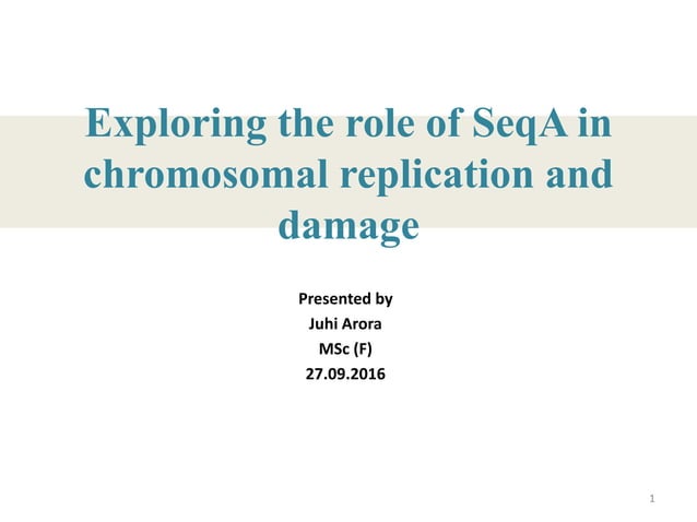 Role of SeqA in replication and chromosomal damage | PPT