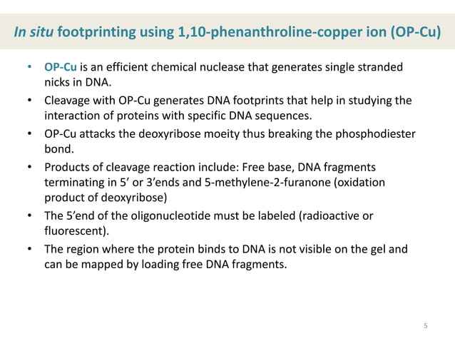 Role of SeqA in replication and chromosomal damage | PPT