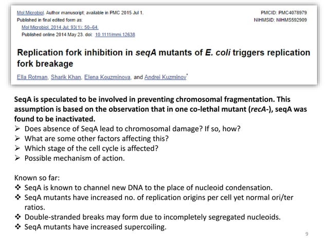 Role of SeqA in replication and chromosomal damage | PPT